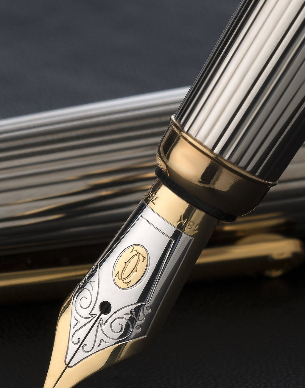 Stylo Plume Haut de Gamme : Inès de la Fressange / Parker/ Waterman